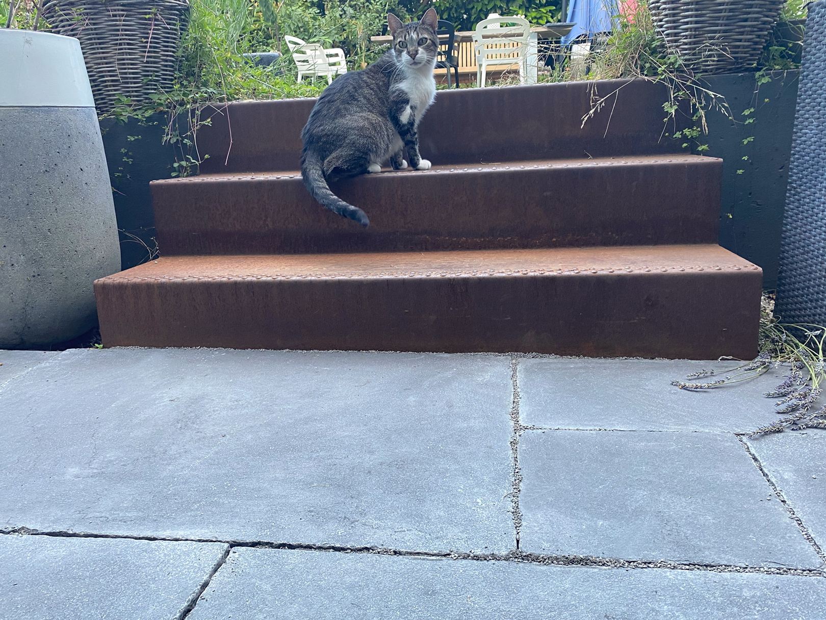 Kalksteinterrassenplatten - Lime Black | jonastone